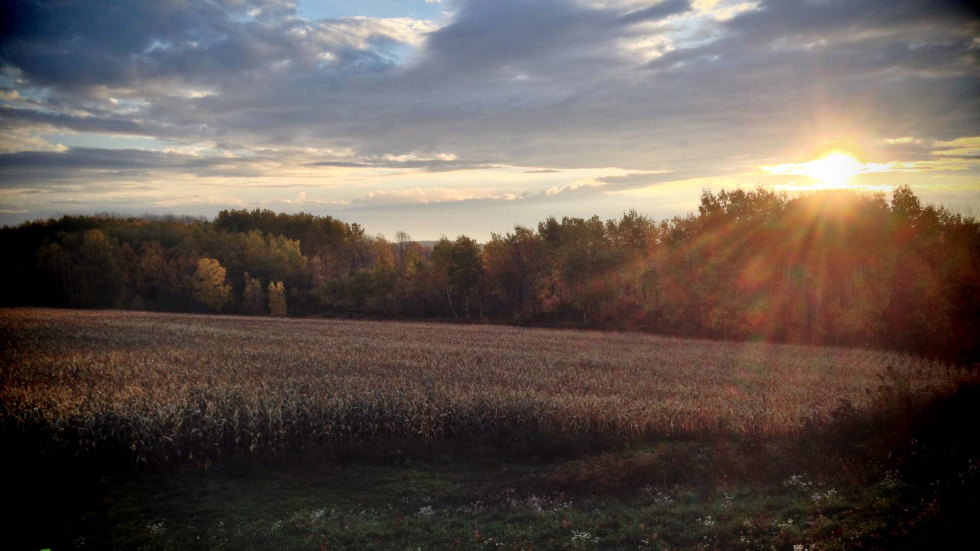 Utility Services & Power - NV5