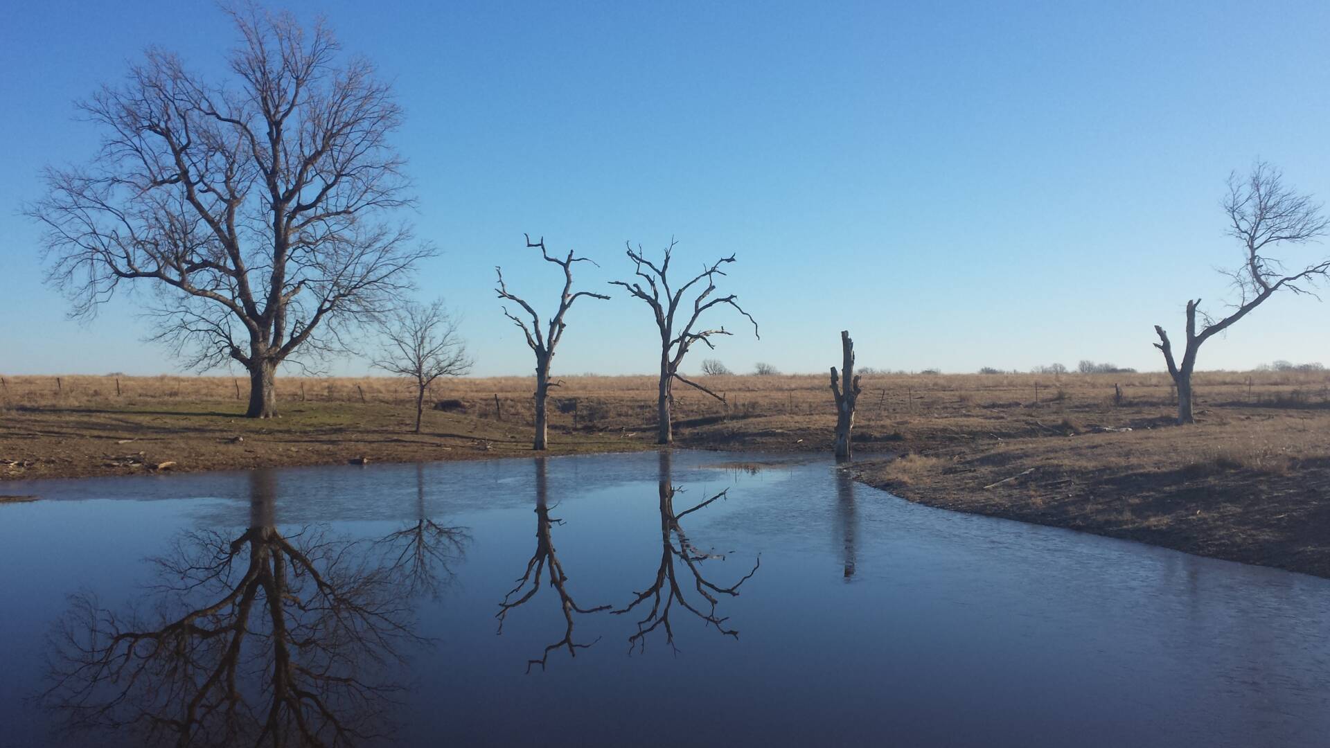 NV5 Environmental Photo Contest Winner - NV5