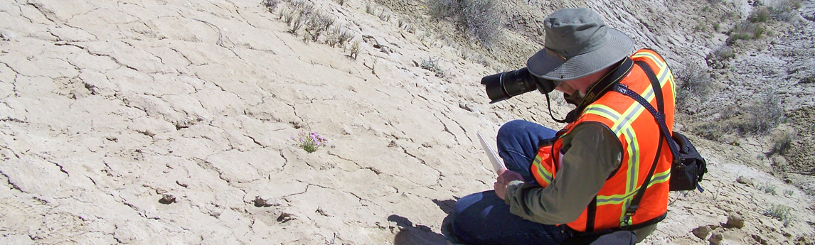 Threatened/Endangered Species Assessment - NV5