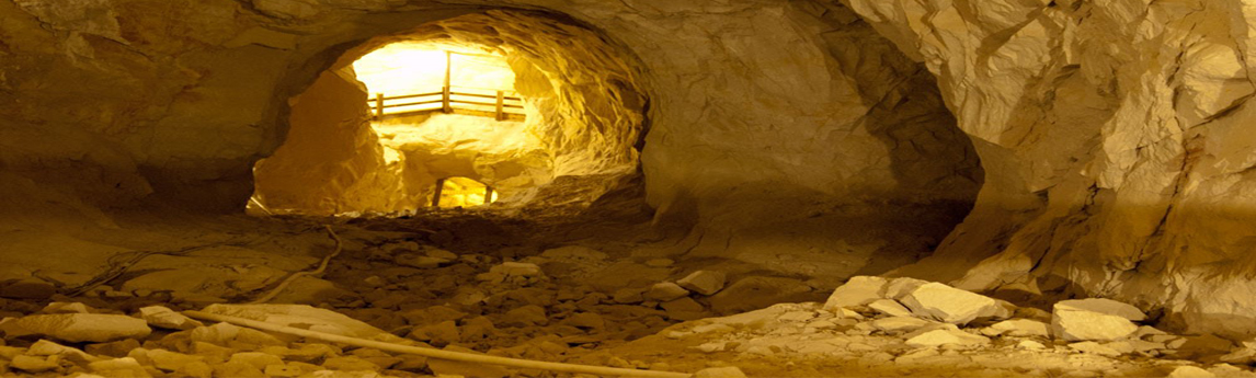 Black Diamond Mine Stairs - NV5