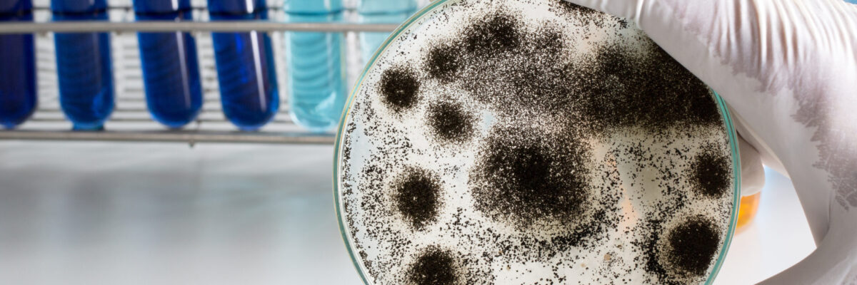 The Challenges of Mold in Hospitals and other Healthcare Facilities - NV5
