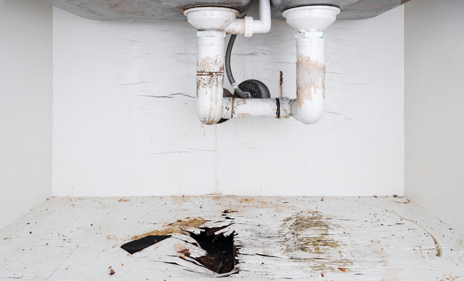 The Challenges of Mold in Hospitals and other Healthcare Facilities - NV5