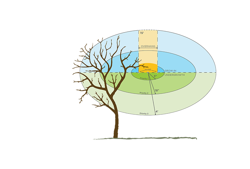 Utility Vegetation Management - Rapid Reporting