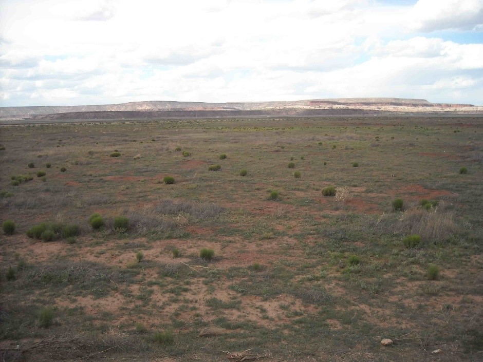 Critical Analysis for Northwest New Mexico Solar Facility - NV5