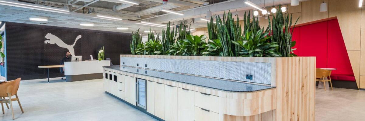 Headquarters Relocation - NV5