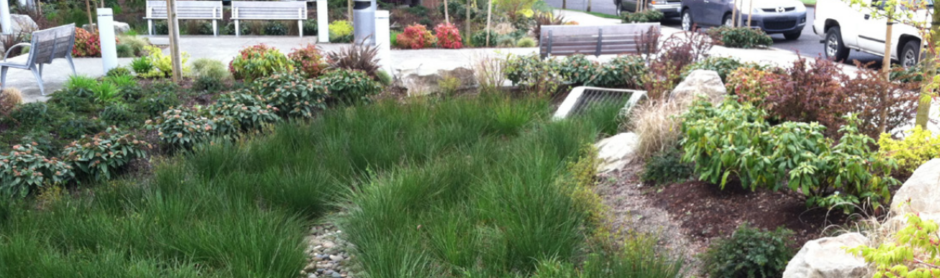 Seven Steps to Achieving Successful Green Infrastructure Implementation ...